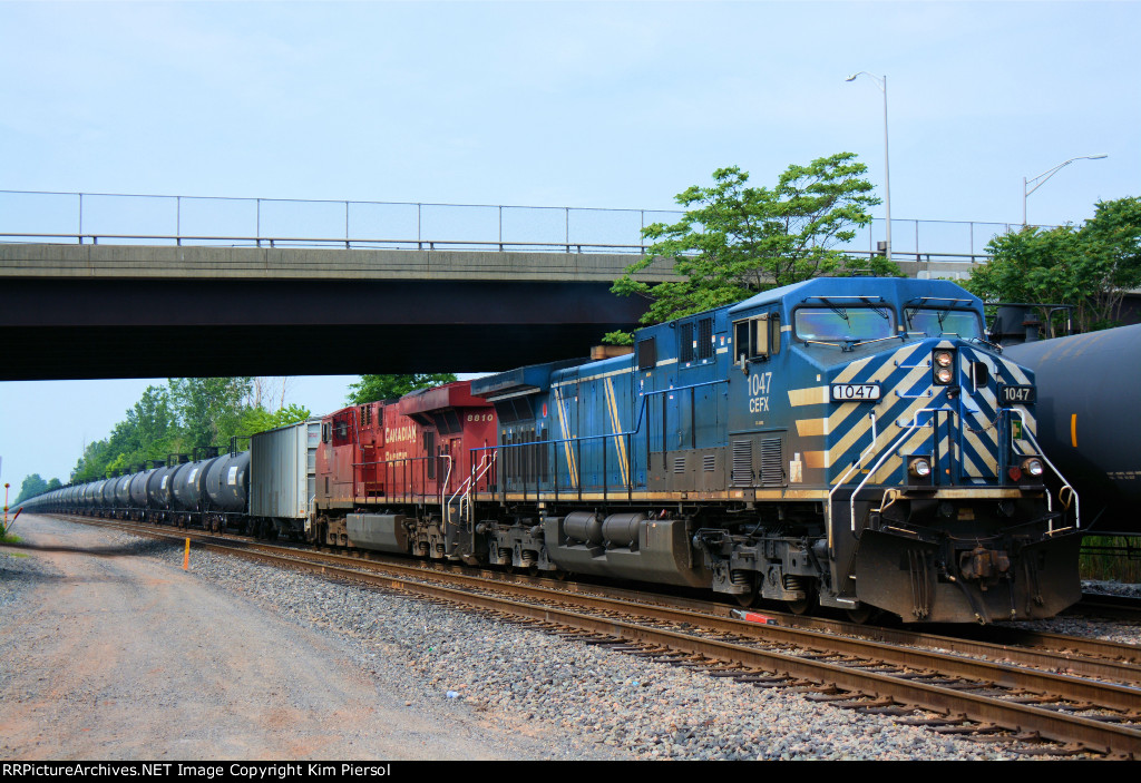 CEFX 1047 CP 8810 Ethanol